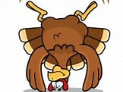 Turkey Tumble | Register | Broderick Gymnastics Store